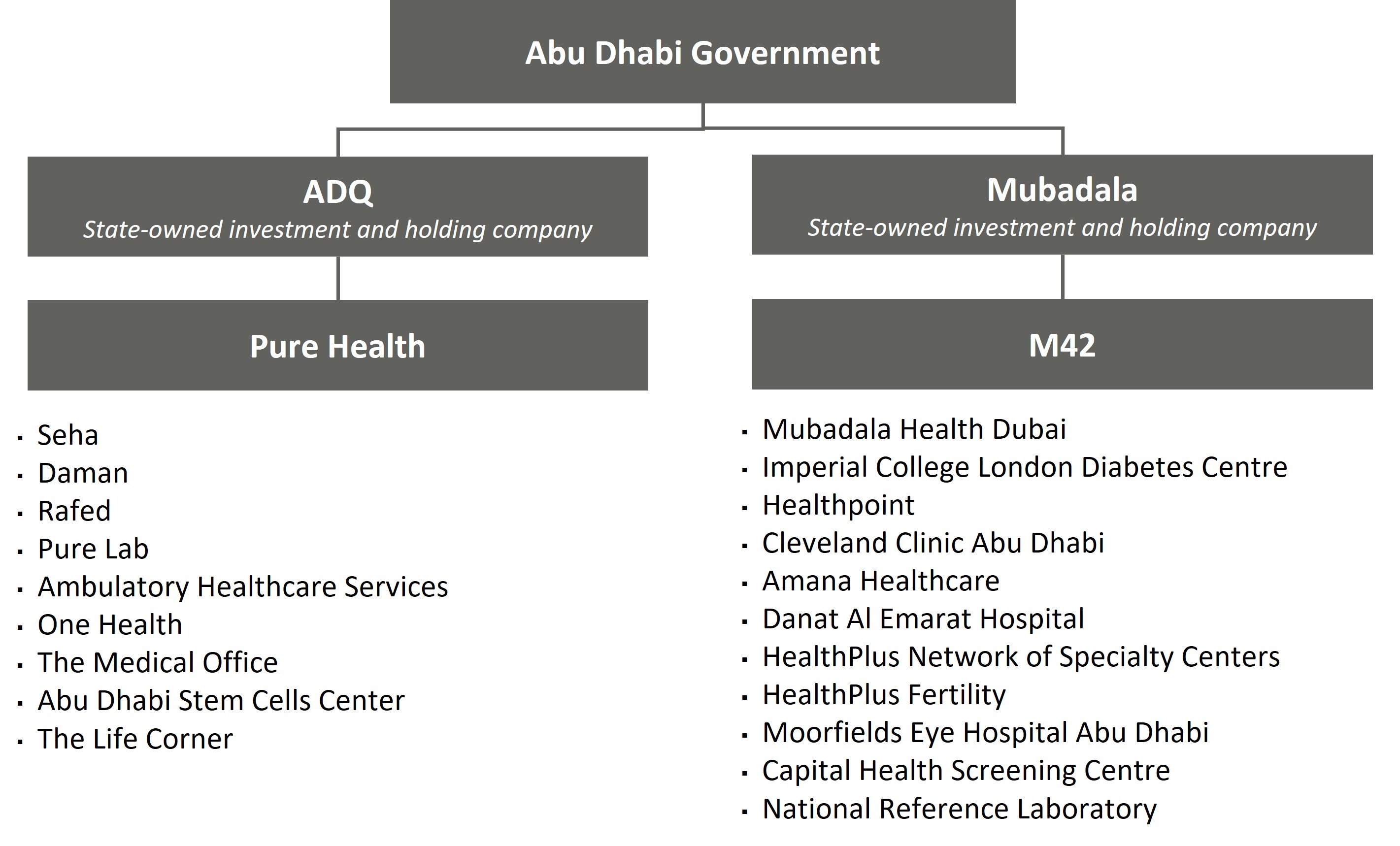 Abu Dhabi pursues further consolidation in healthcare | F...